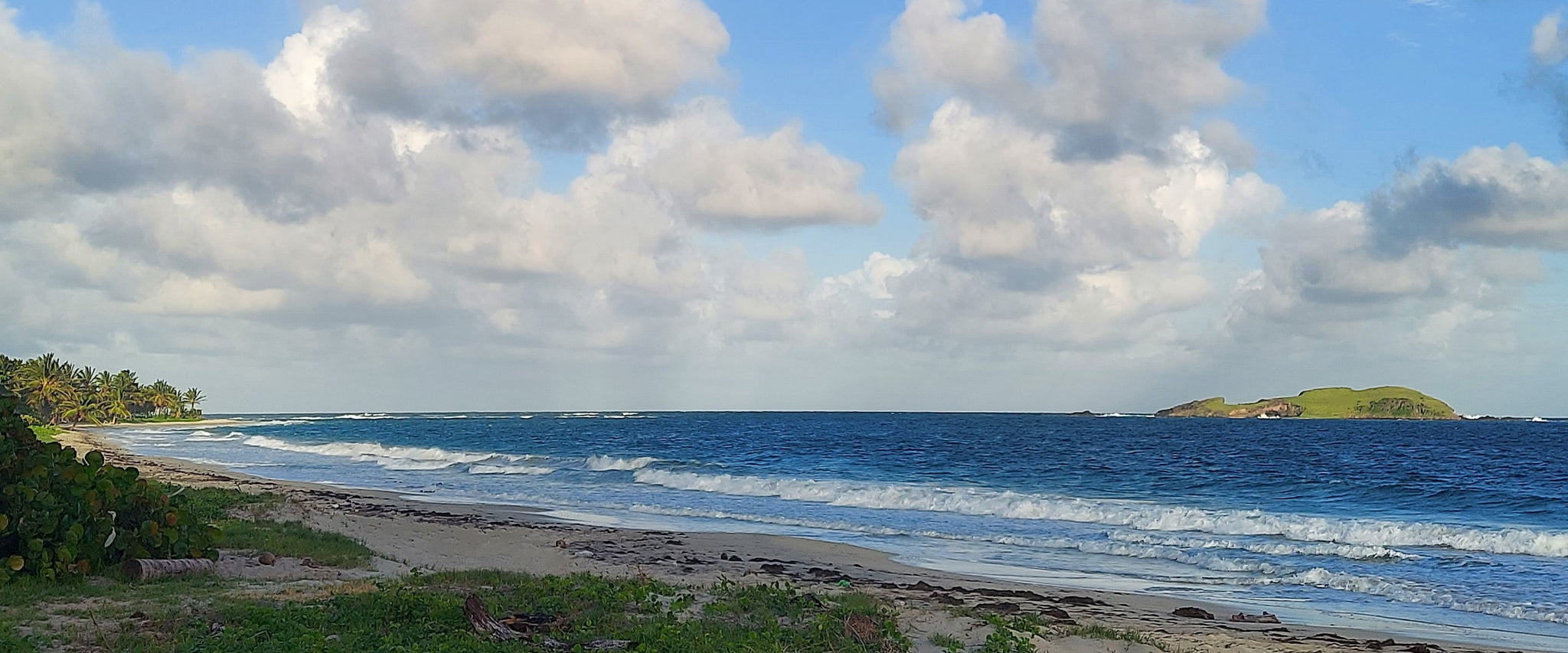 Ocean Botanicals LLC - "Unlock a Better You"