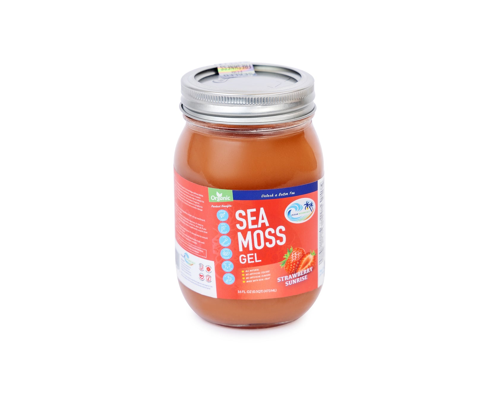 Buy 100% Wildcrafted Sea Moss Products Online – Ocean Botanicals
